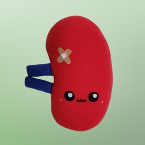 Cute Kawaii Kidney Plush, Organ Plush, Made to Order, Kidney Surgery - Etsy