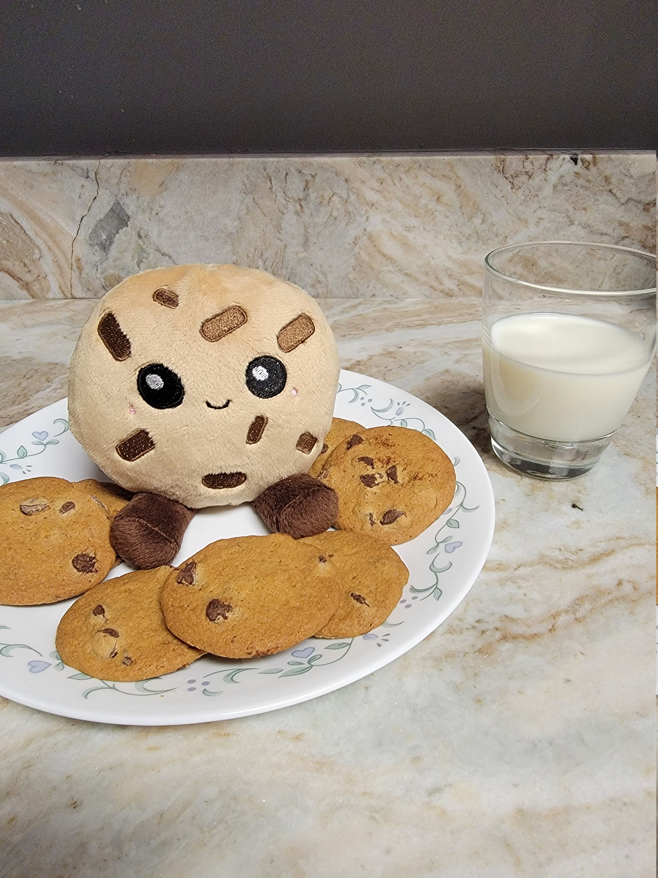 Cute Chocolate Chip