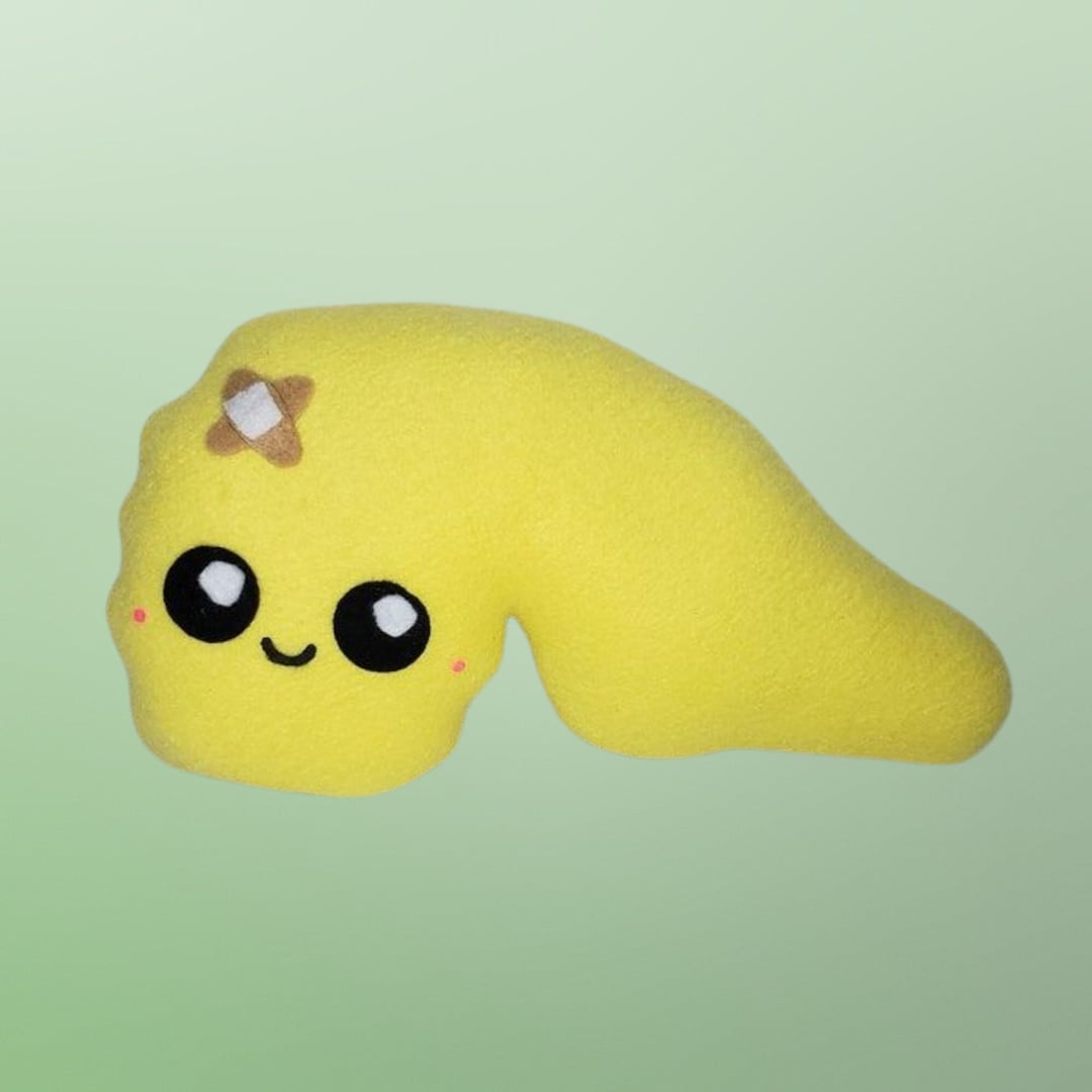 Kawaii Pancreas Plush, Cute Organ Pillow, Diabetic Comfort, Handmade - Etsy