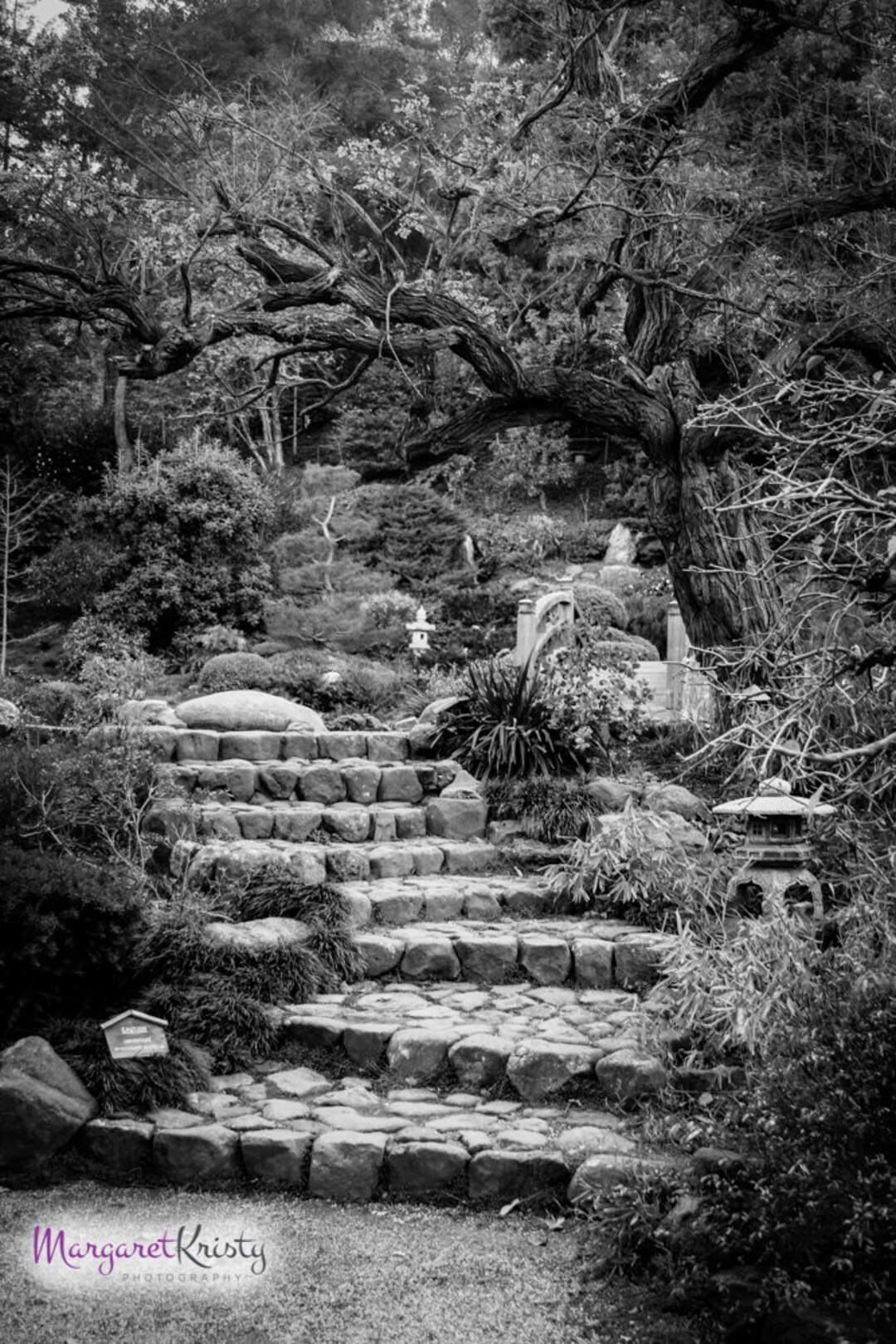 Pathway in a Japanese Garden Black and White Photography - Etsy