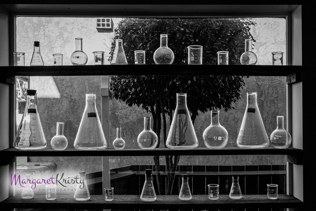 Beakers in a Window - Science Black and White Photography - Etsy