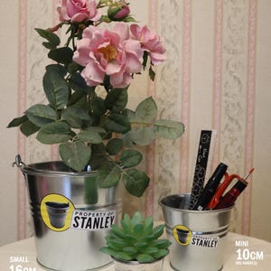 Stanley Parable Reassurance Bucket - Etsy