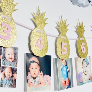 Pineapple Milestone Monthly Photo Banner, First Year, Yellow Gold ...