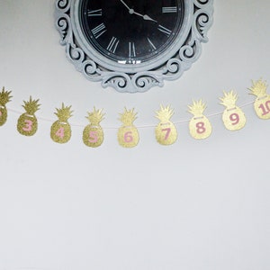 Pineapple Milestone Monthly Photo Banner, First Year, Yellow Gold ...