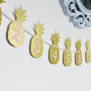 Pineapple Milestone Monthly Photo Banner, First Year, Yellow Gold ...