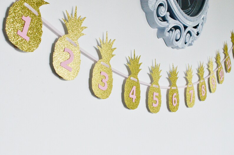 Pineapple Milestone Monthly Photo Banner First Year Yellow - Etsy
