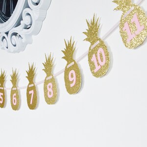 Pineapple Milestone Monthly Photo Banner, First Year, Yellow Gold ...