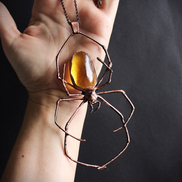 Spider Taxidermy - Etsy