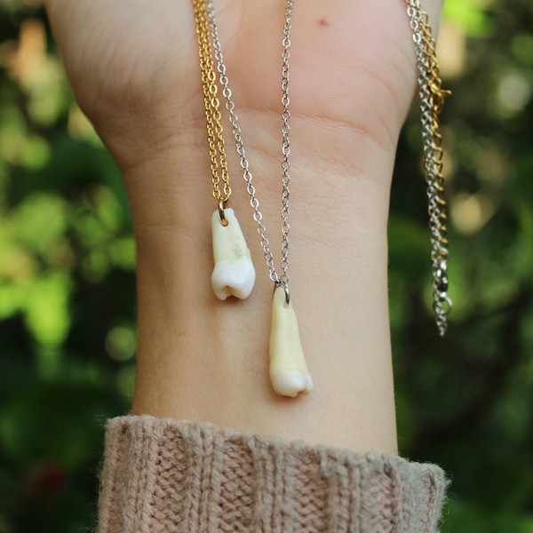 Human Teeth Jewelry - Etsy UK