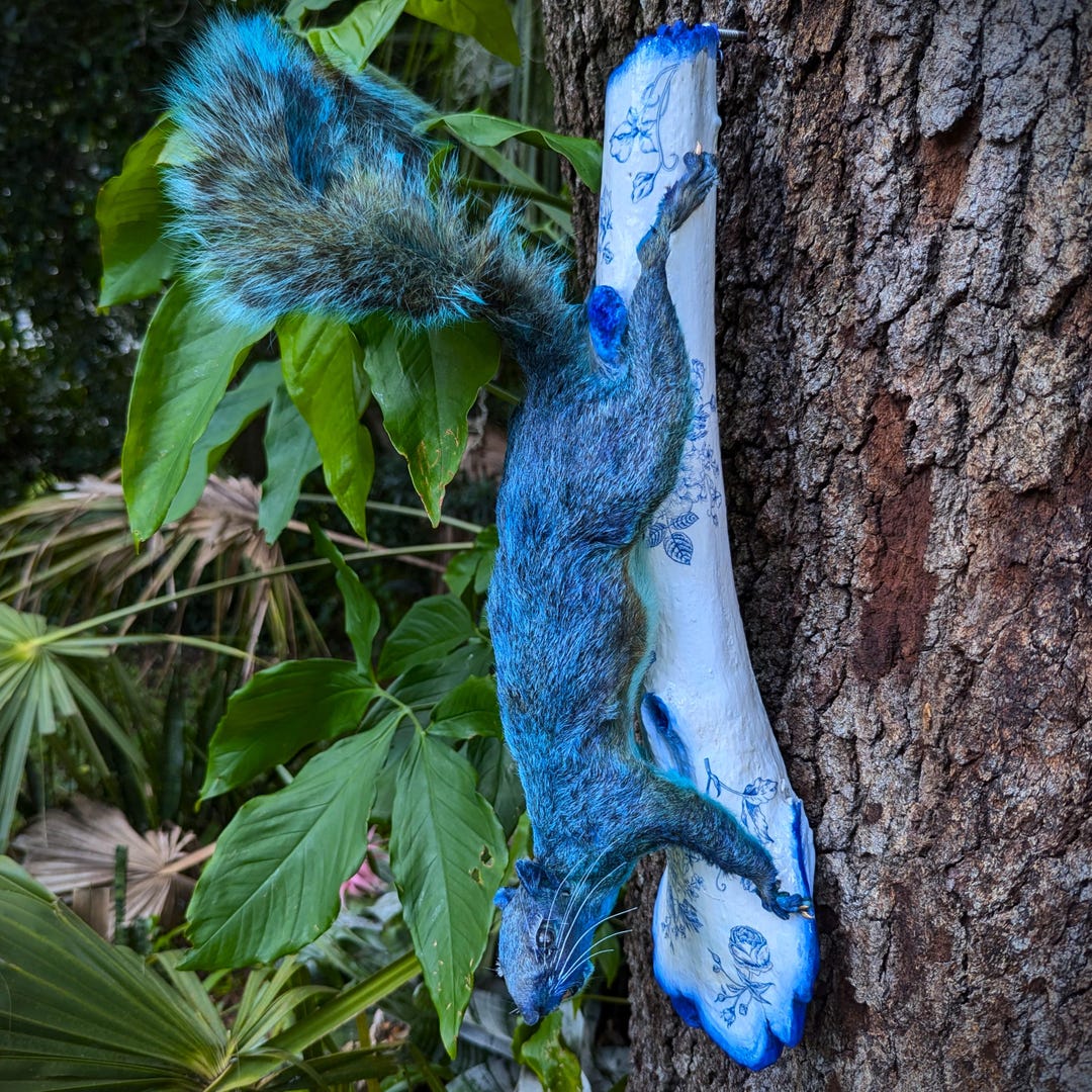 Delft Inspired Taxidermy Squirrel | Real Oddities Curiosities Blue Dyed ...