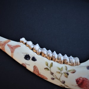 Cottage Core Deer Jawbone Wall Hanging Decor Real Bone Painted Skull ...