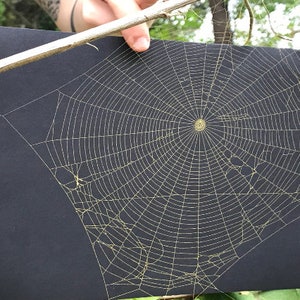 Real Spider Web Necklace: Preserved Orb Weaver Pendant, Spooky ...