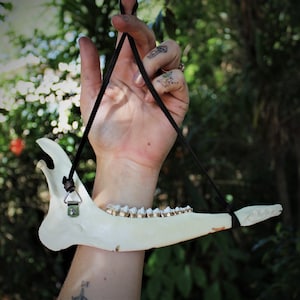 Cottage Core Deer Jawbone Wall Hanging Decor Real Bone Painted Skull ...