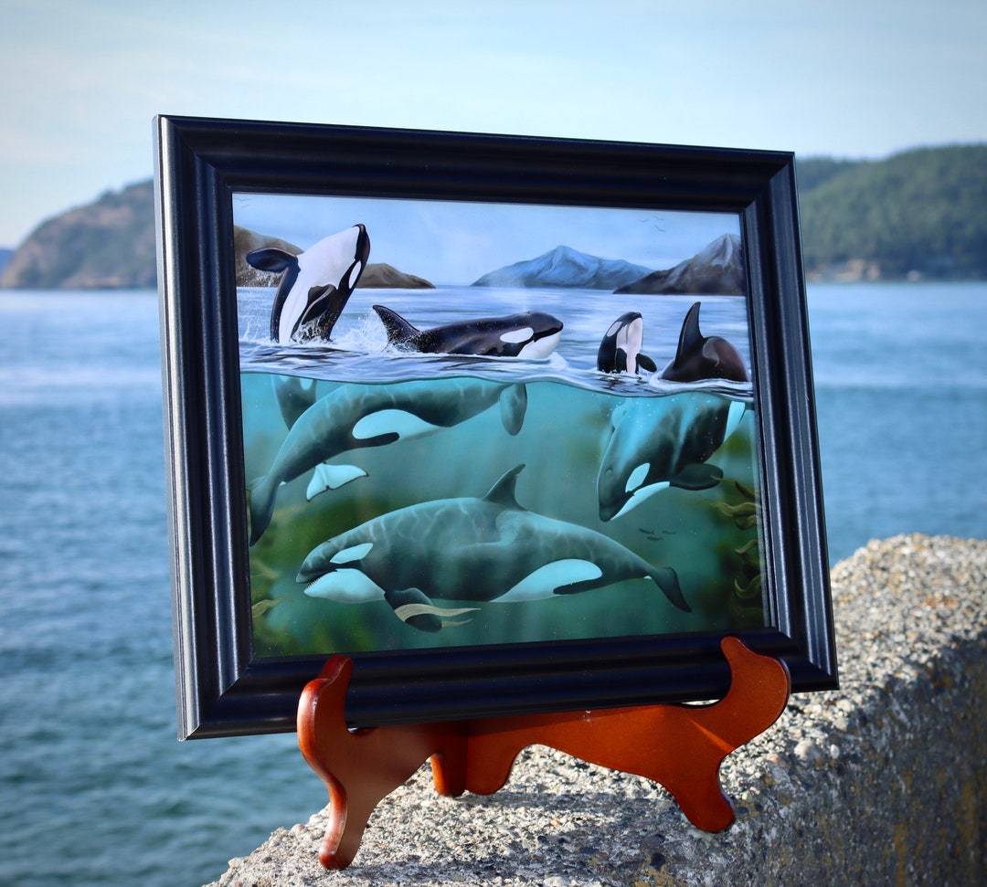 8x10” T99 Orca Pod Print - Etsy