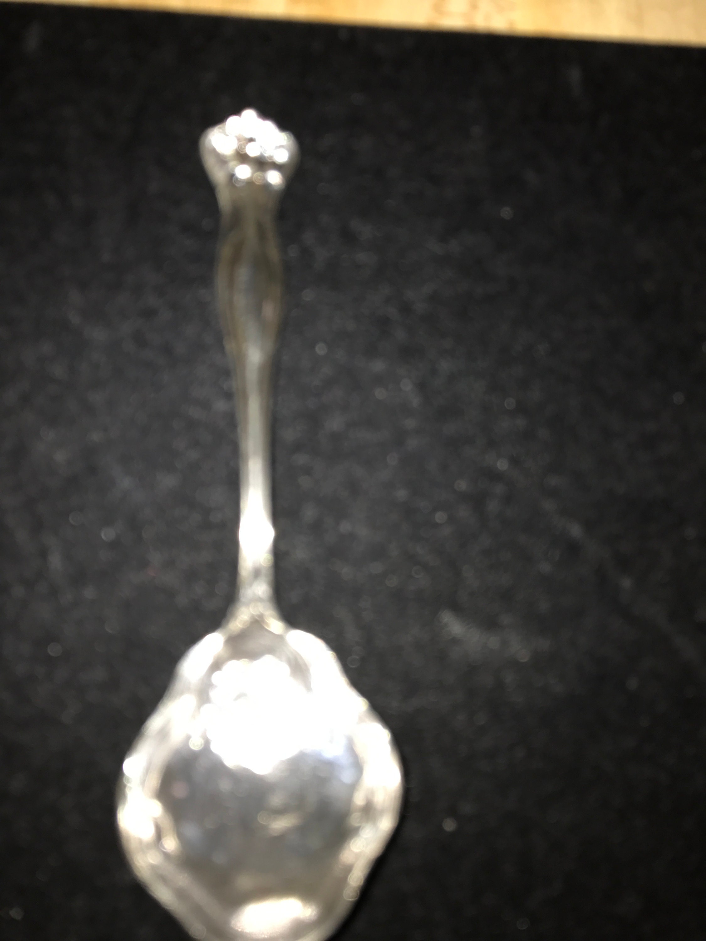 Vintage "mystic" Sugar Shell - Etsy