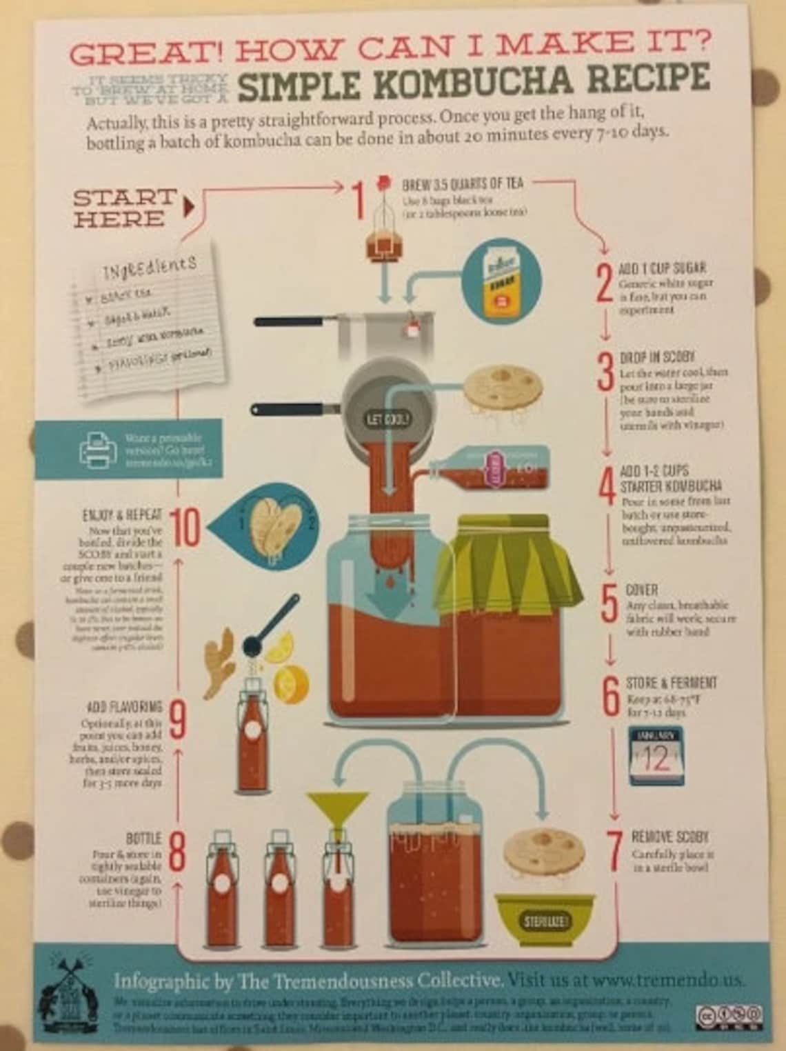 Kombucha Scoby With Starter "mother" With Instructions. - Etsy
