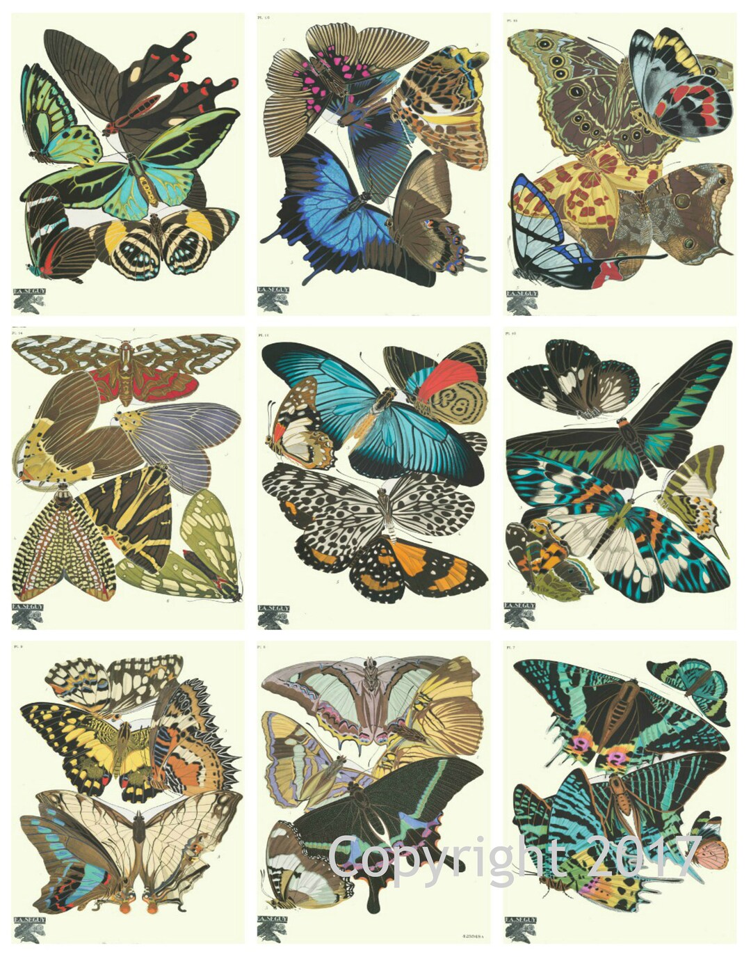 Hoja de collage de mariposas vintage impresas de 8.5 x 11 para ...