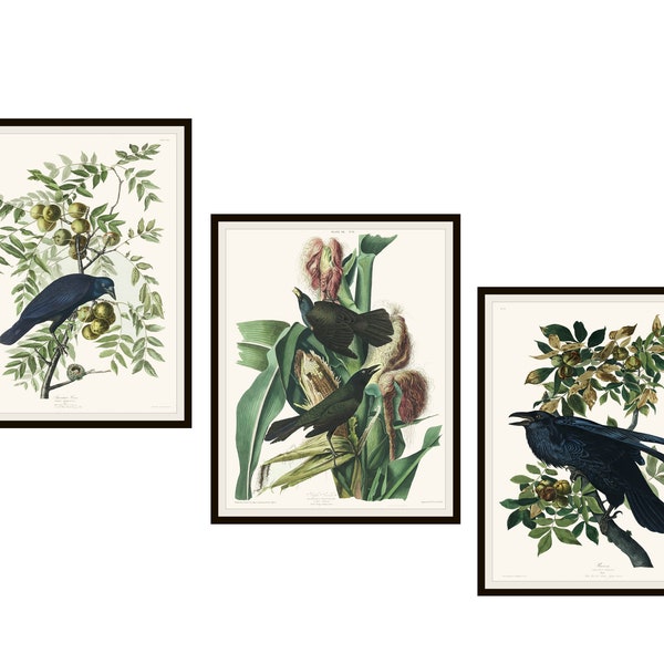 Crow Art Print - Etsy