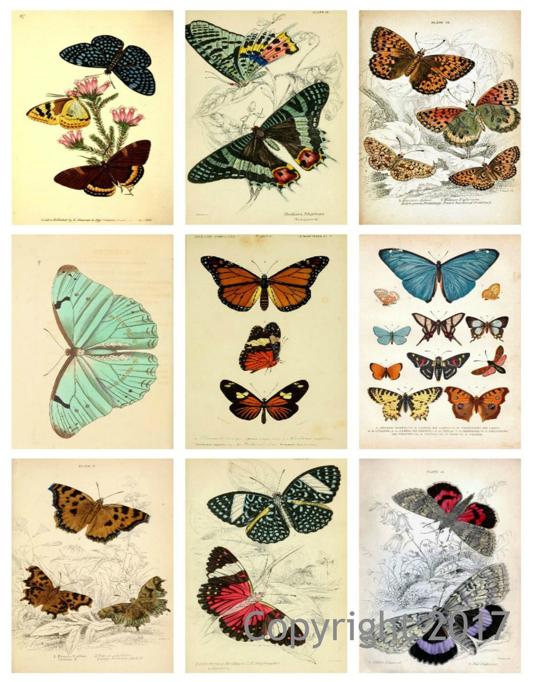 Hoja de collage de mariposas vintage impresas de 8.5 x 11 para ...