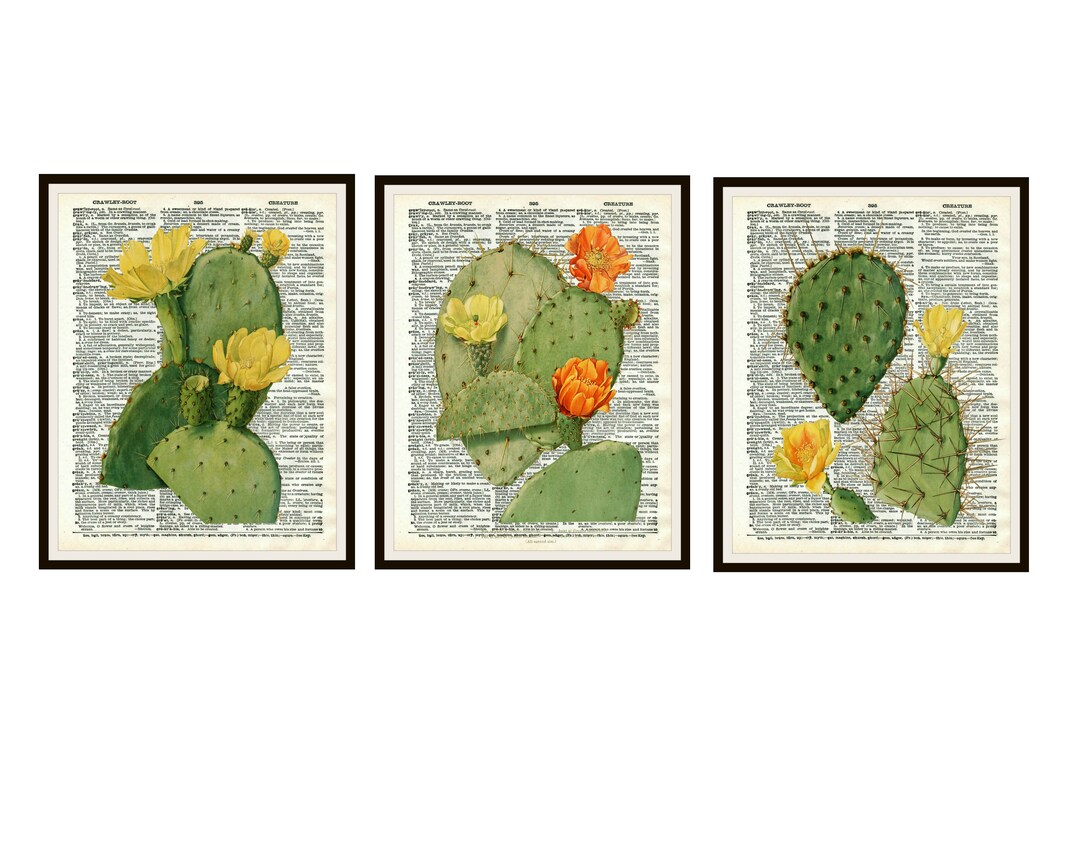 Set of 3 Vintage Botanical Cactus Art Print Posters, Dictionary Art ...