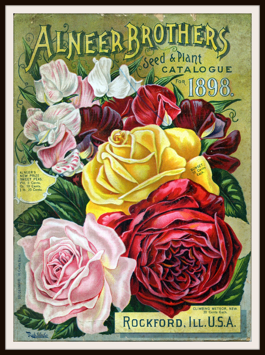 Seed Packet Art Prints