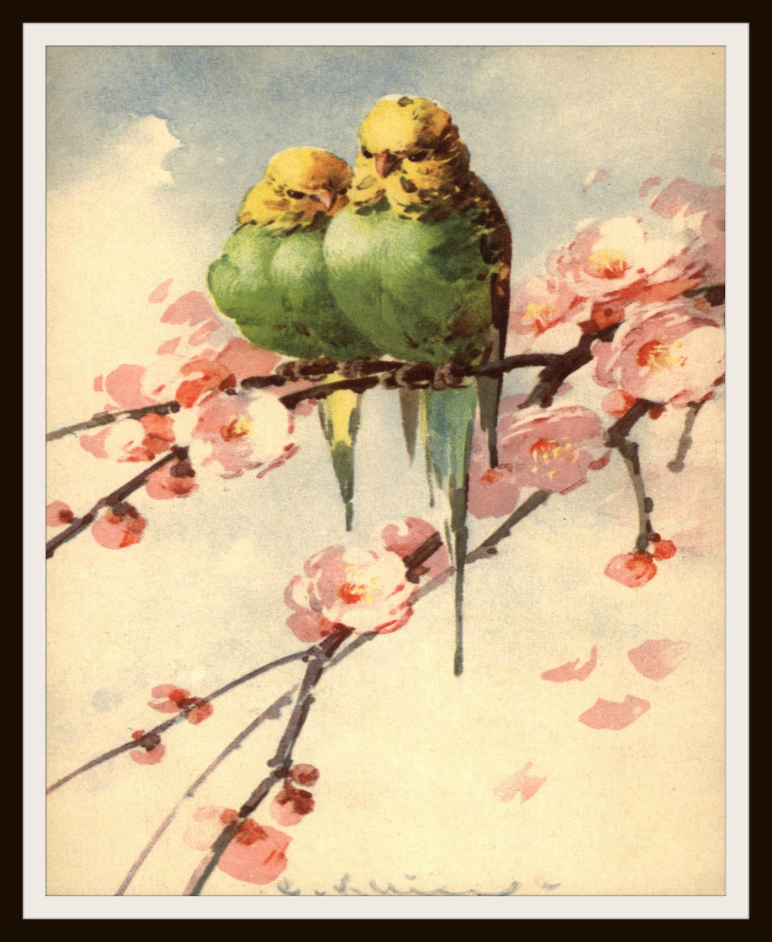 Set of 4 Vintage Catherine Klein Birds Art Print Poster Reproductions ...