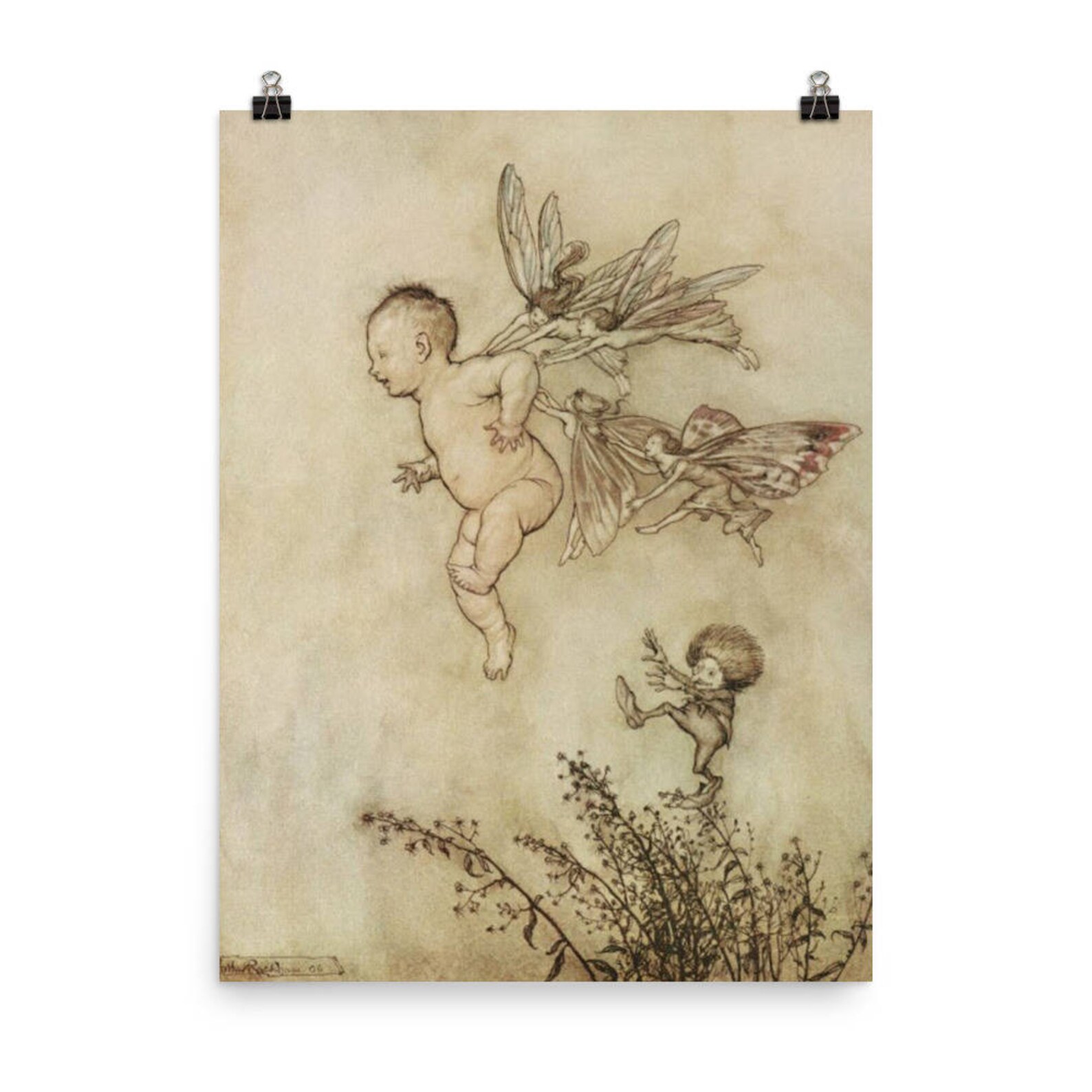 Arthur Rackham Peter Pan in Kensington Garden Photo Paper | Etsy