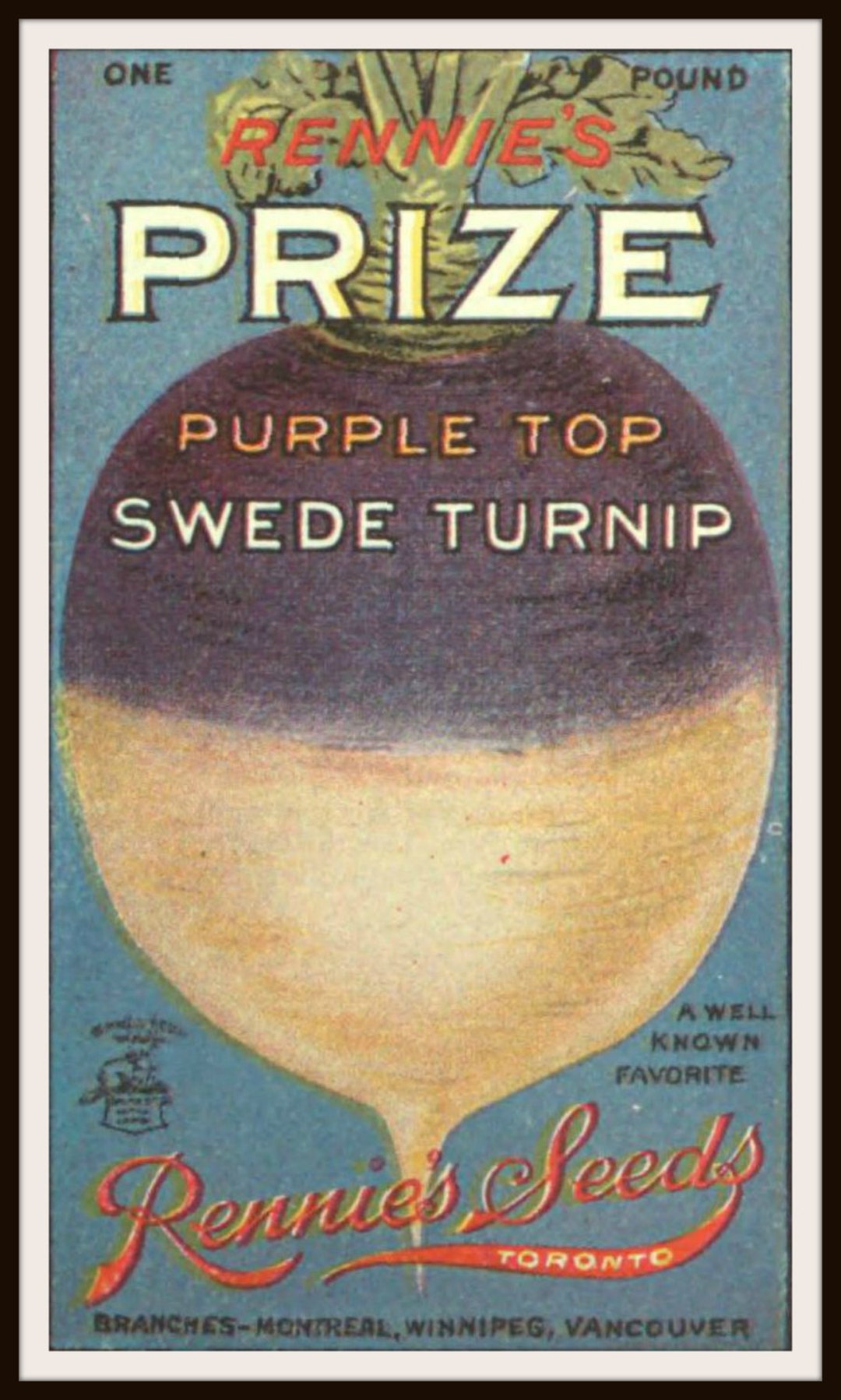 Vintage Art Print Turnip Seed Pack Ephemera, Print Wall Decor, 8.5 X 11 ...