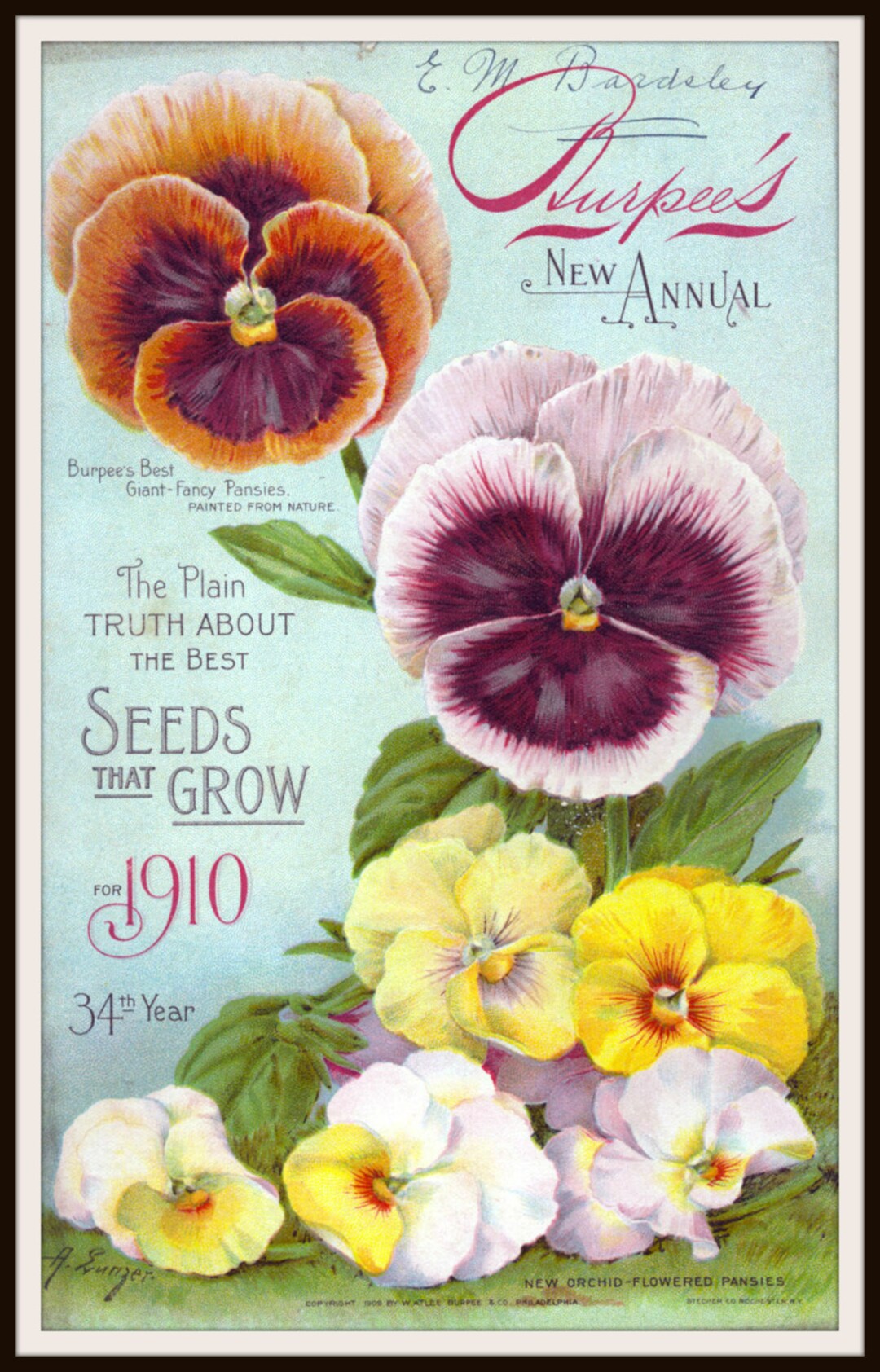 Seed Packet Art Prints