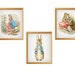 Set of 6 Beatrix Potter " Peter Rabbit" Giclee Art Print Reproductions ...