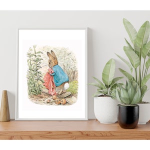 Set of 6 Beatrix Potter " Peter Rabbit" Giclee Art Print Reproductions ...