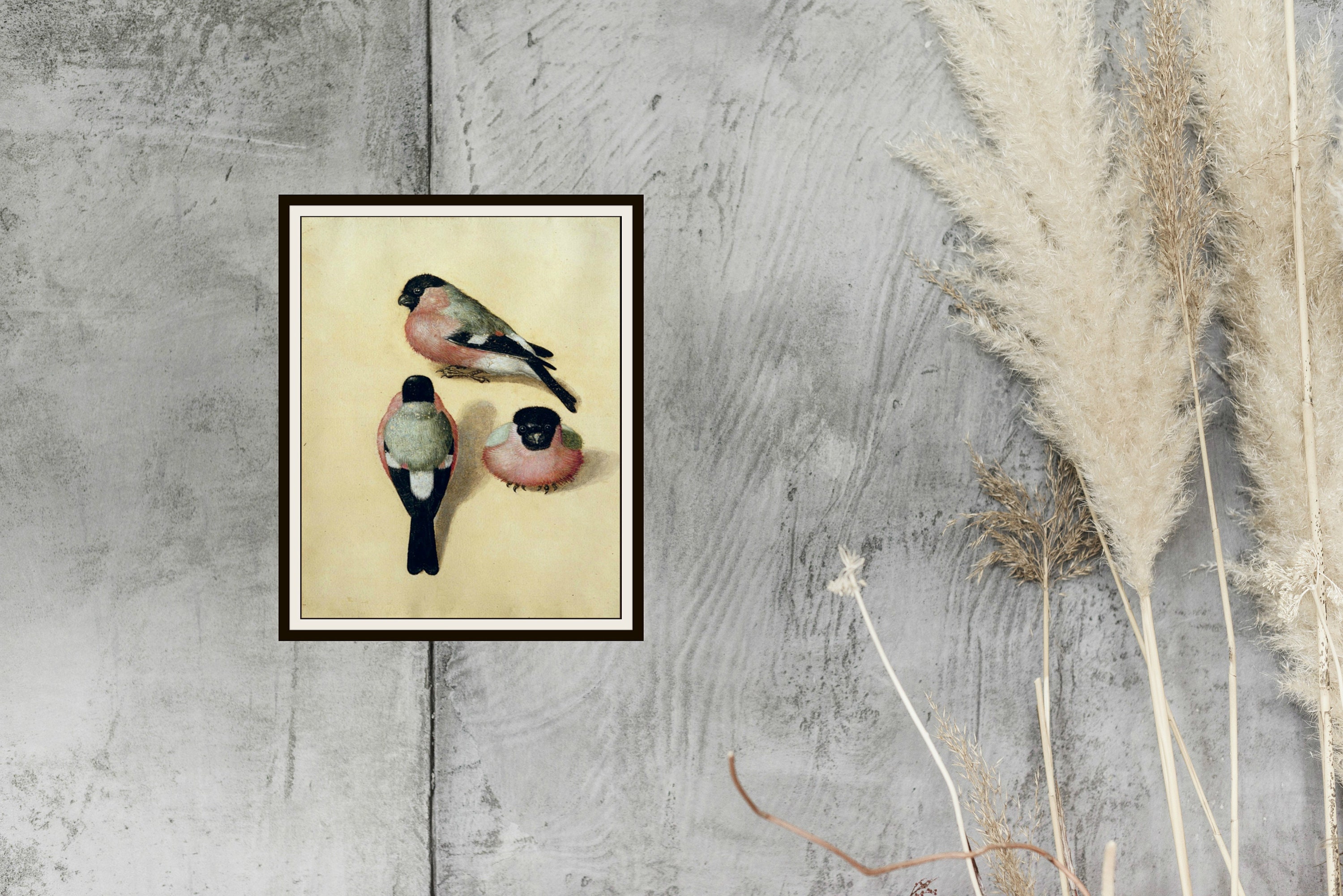 Albrecht Dürer 'three Studies of a Tree Bullfinch 1543 - Etsy