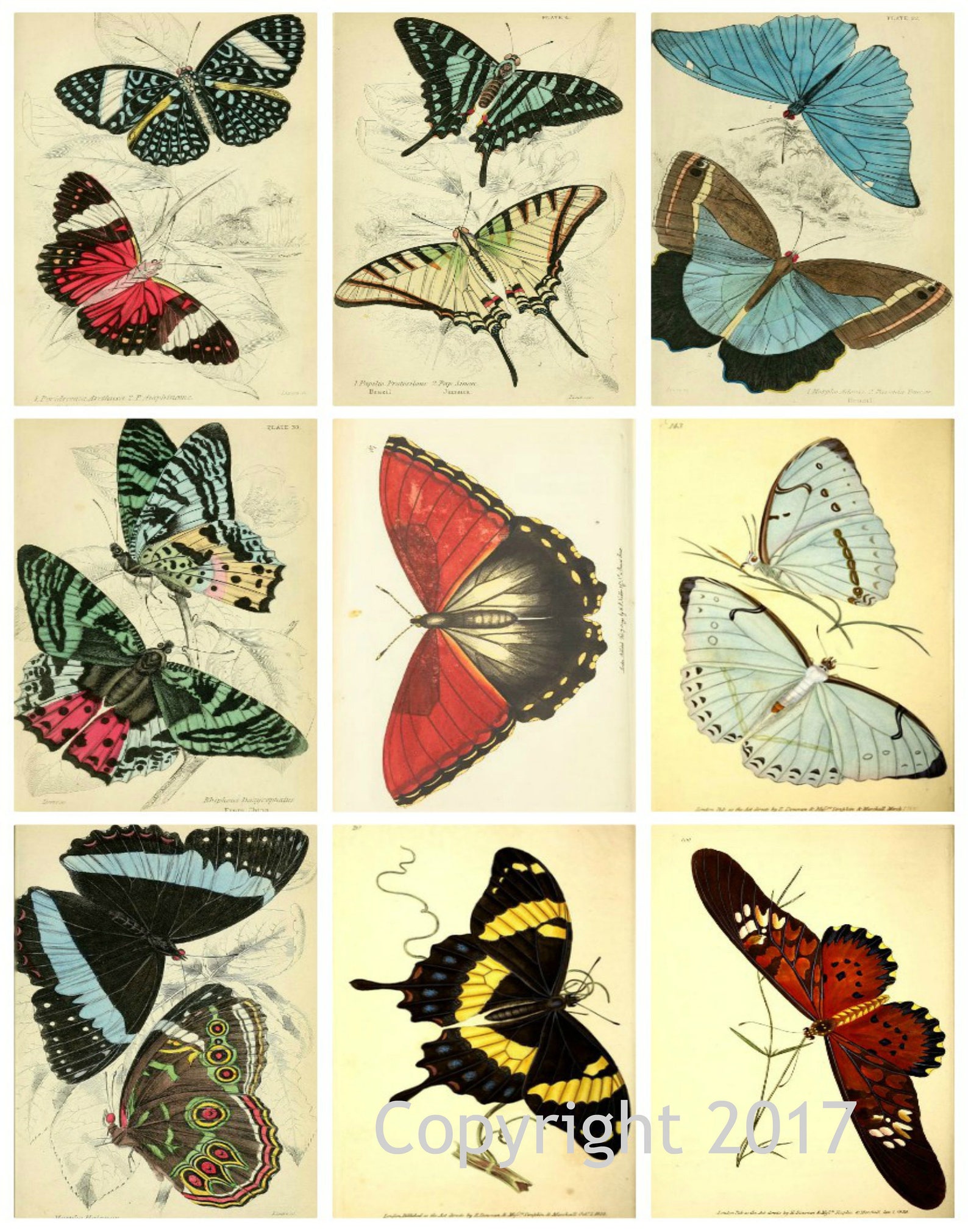 Hoja de collage de mariposas vintage impresas de 8.5 x 11 para ...