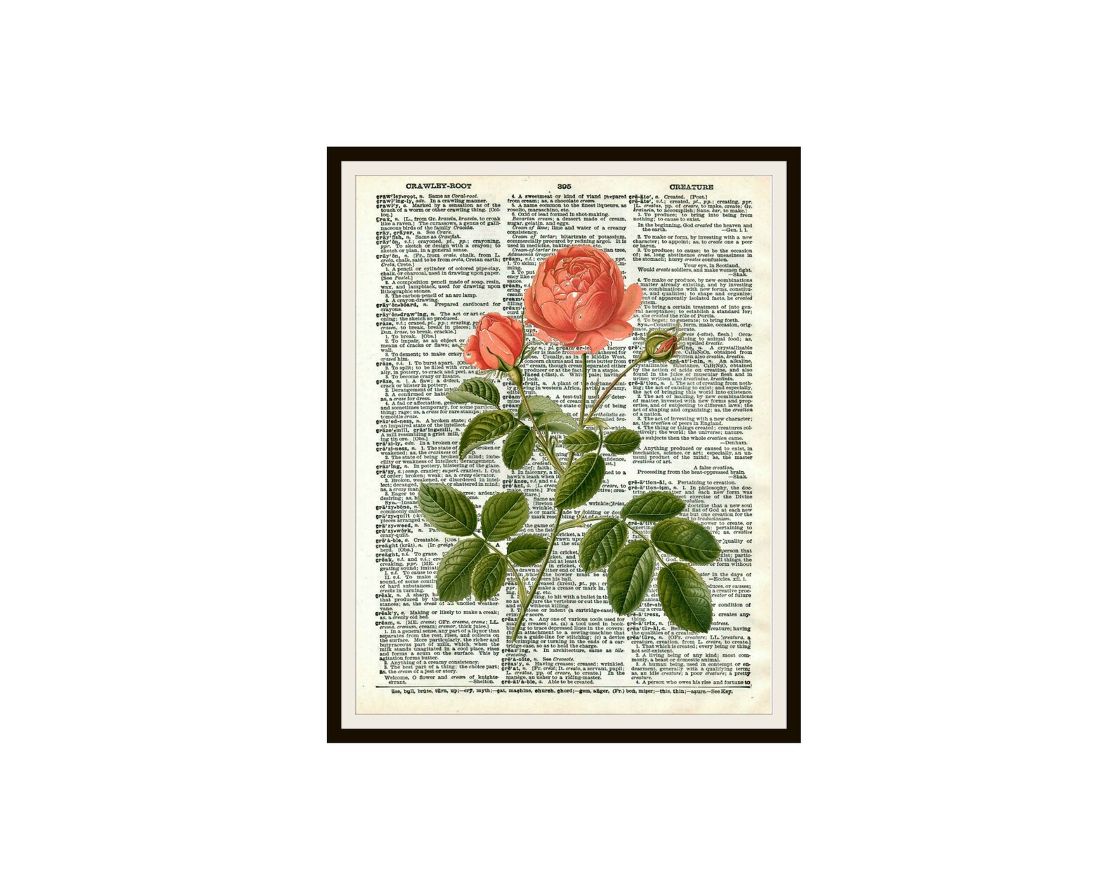 Printed Vintage Botanical Roses on Reproduction Dictionary Page Art ...
