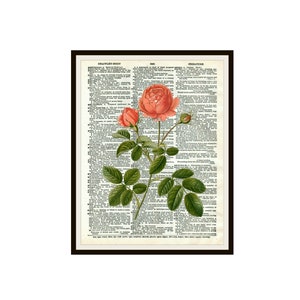 Printed Vintage Botanical Roses on Reproduction Dictionary Page Art ...