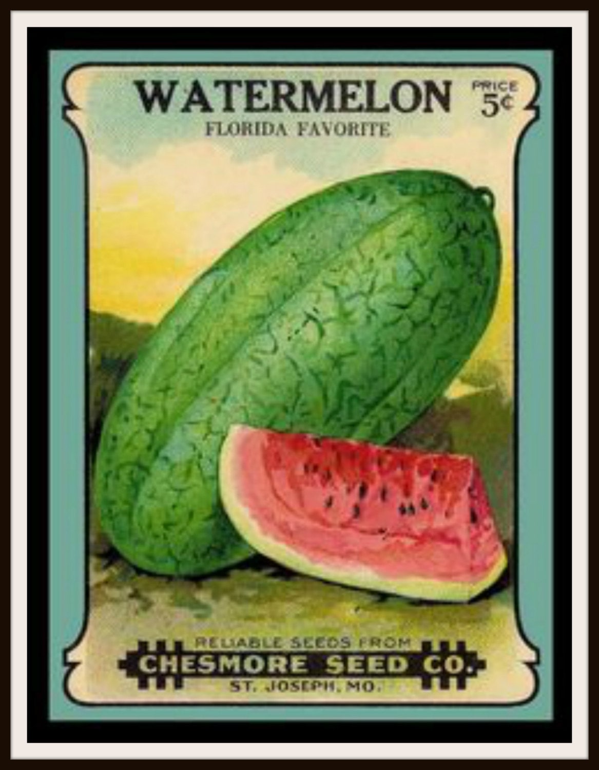 Watermelon Seed Packet