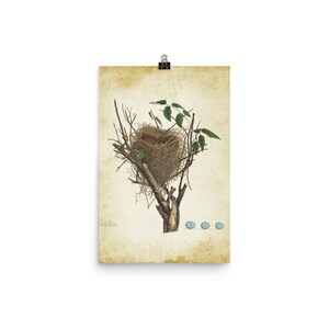 Bird's Nest Poster, Farmhouse Art, Rustic Art Print Poster - Etsy