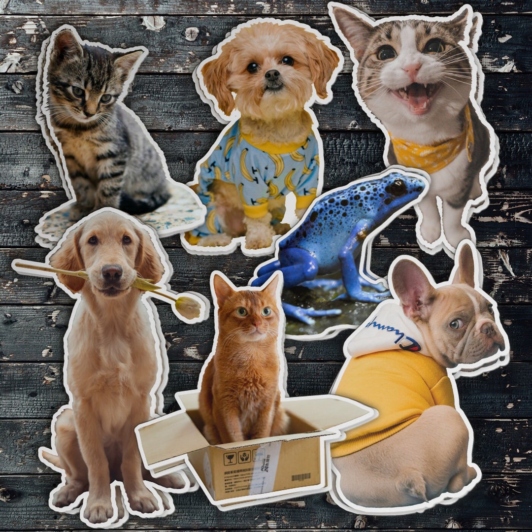 Custom Pet Sticker, Pet Sticker, Custom Pet Photo Sticker, Photo Pet ...
