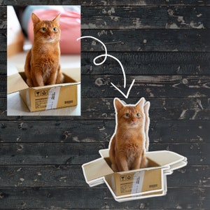Custom Pet Sticker, Pet Sticker, Custom Pet Photo Sticker, Photo Pet ...