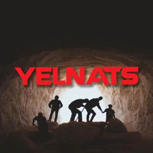 Stanley Yelnats Vinyl Car Decal | Holes Stickers for Stanley Cups ...