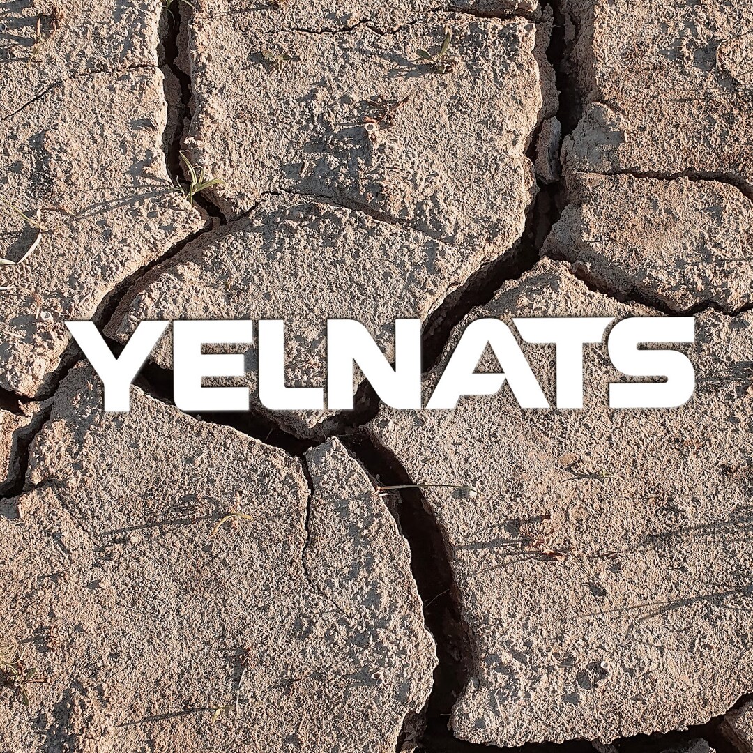 Stanley Yelnats Vinyl Car Decal | Holes Stickers for Stanley Cups ...