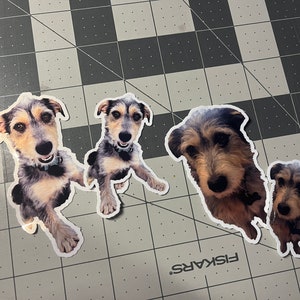 Custom Pet Sticker, Pet Sticker, Custom Pet Photo Sticker, Photo Pet ...