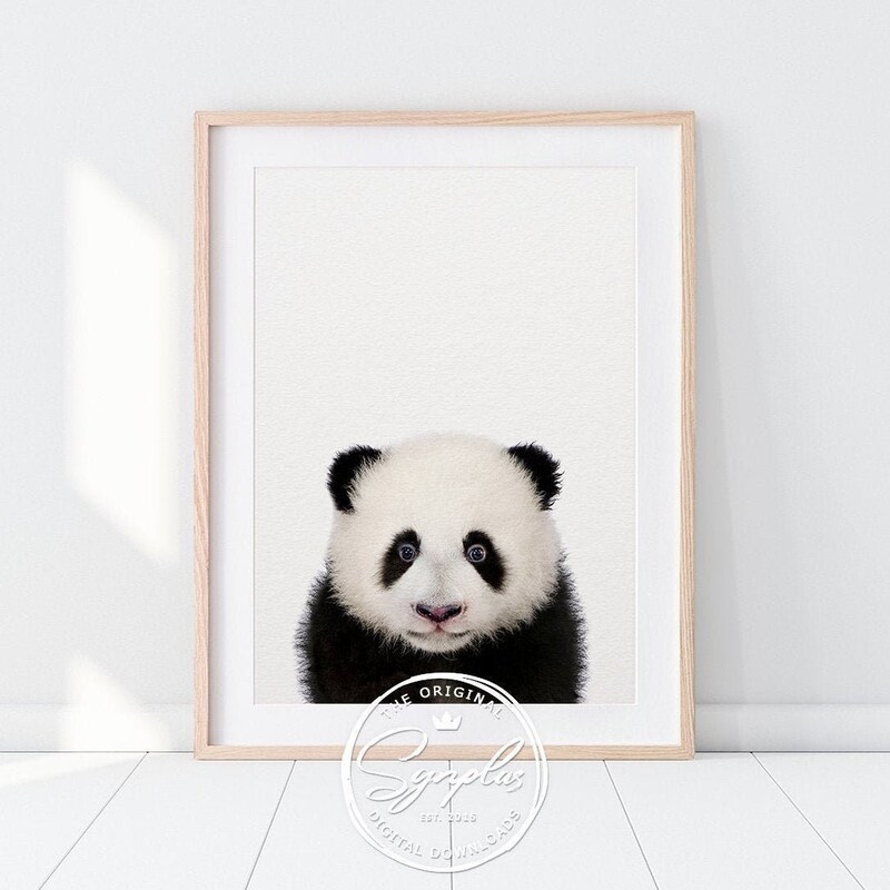 Baby Panda Bear - Etsy