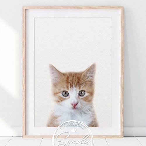 Kitten Print Nursery Baby Animal Wall Art Large Poster - Etsy
