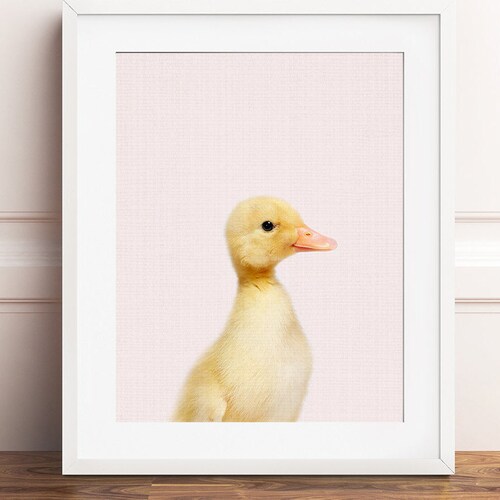 Duckling Nursery Print Duckling Wall Art Baby Duck Print - Etsy UK