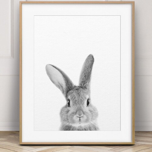 Rabbit Print Bunny Art Print Black & White Animal Cute Baby - Etsy