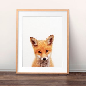 Fox Print, Fox Cub Art, Nursery Wall Art, Pup Fox Photo, Nursery Decor ...