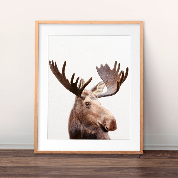 Moose Prints - Etsy