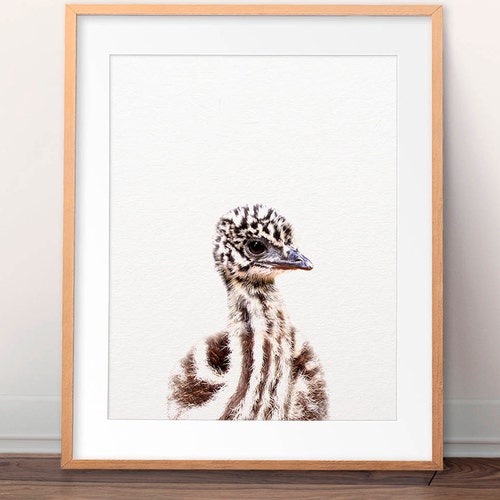 Baby Bilby Print Nursery Decor Australian Animals Art Bilby - Etsy
