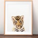 Baby Tiger Print Tiger Cub Forest Jungle Animal Prints | Etsy